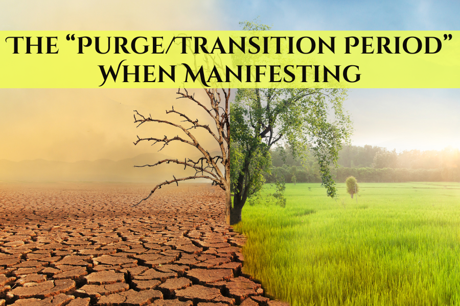 Does the “Purge/Transition Period” Really Exist When Manifesting? - Ask ... Does the “Purge/Transition Period” Really Exist When Manifesting? - Ask ...